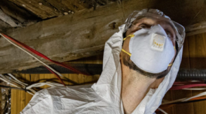 Mold Removal Company Cambridge Ma, Mold Cleaning Services Lowell Ma ...