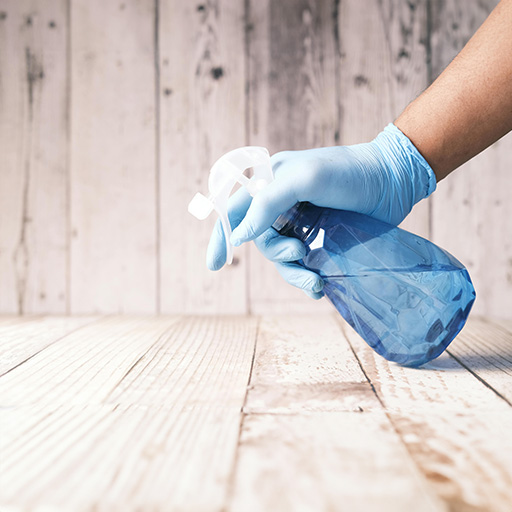 Act Fast: Essential Steps for Mold Control After a Flood - Mass Mold ...